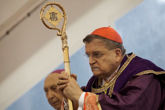 Continue To Pray For Cardinal Burke – Catholics Aren't Zombies!