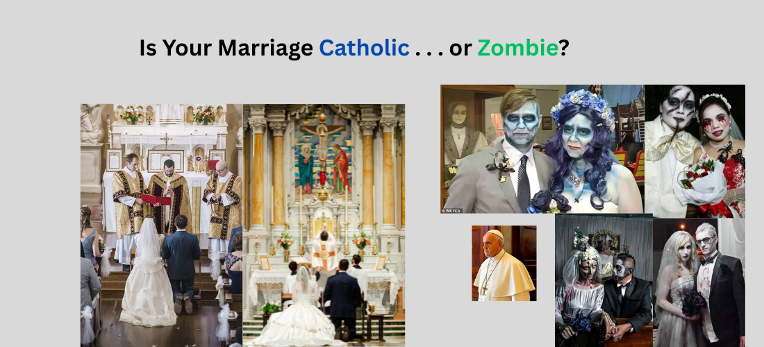 Traditional Catholic Singles: Are You Unqualified for Marriage ...